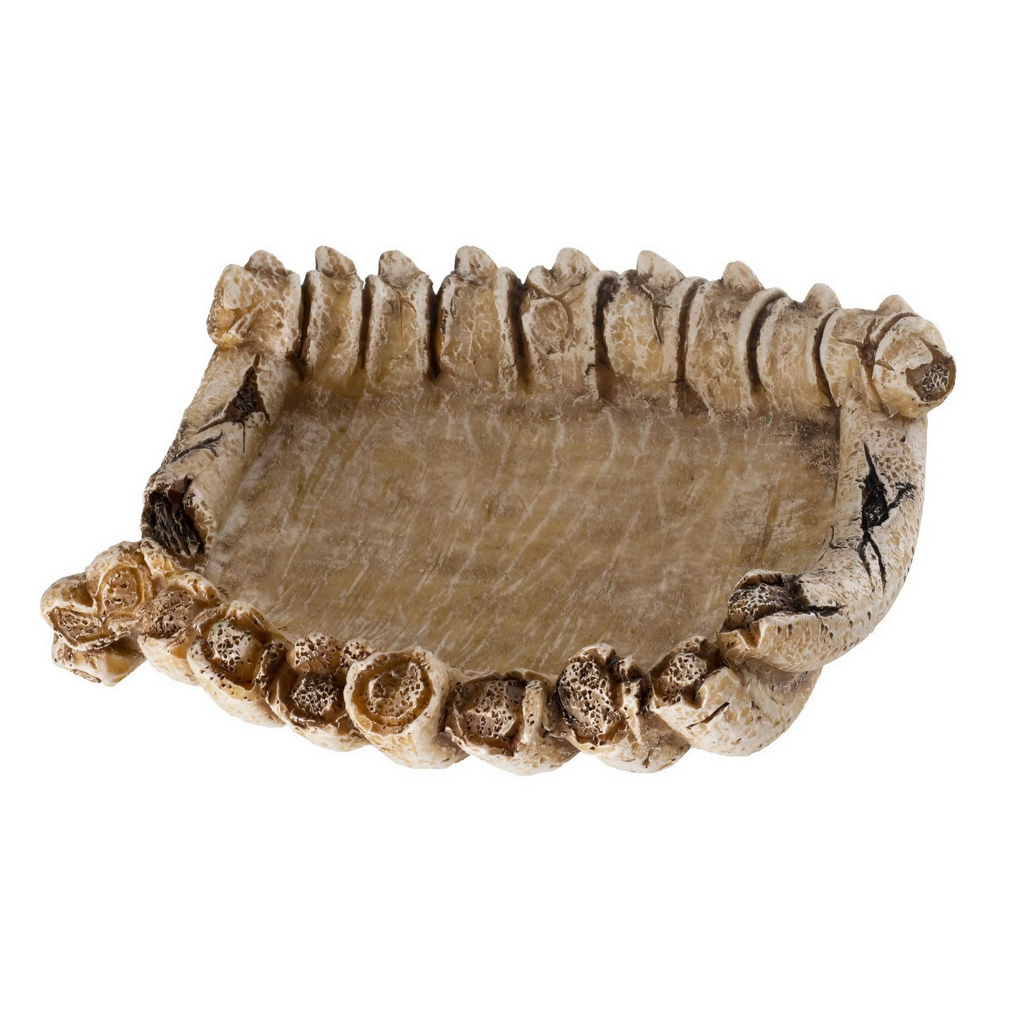 Reptile Nova Dish Bones Miska do terrarium na wodę i jedzenie 14x13x4cm ...