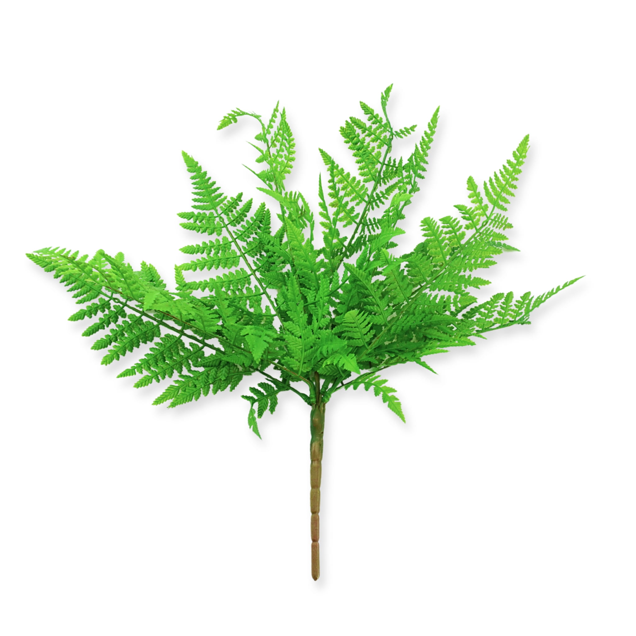 BioPlant Fern no.3 Paproć, paprotka do terrarium zielona 54cm - Sklep ...
